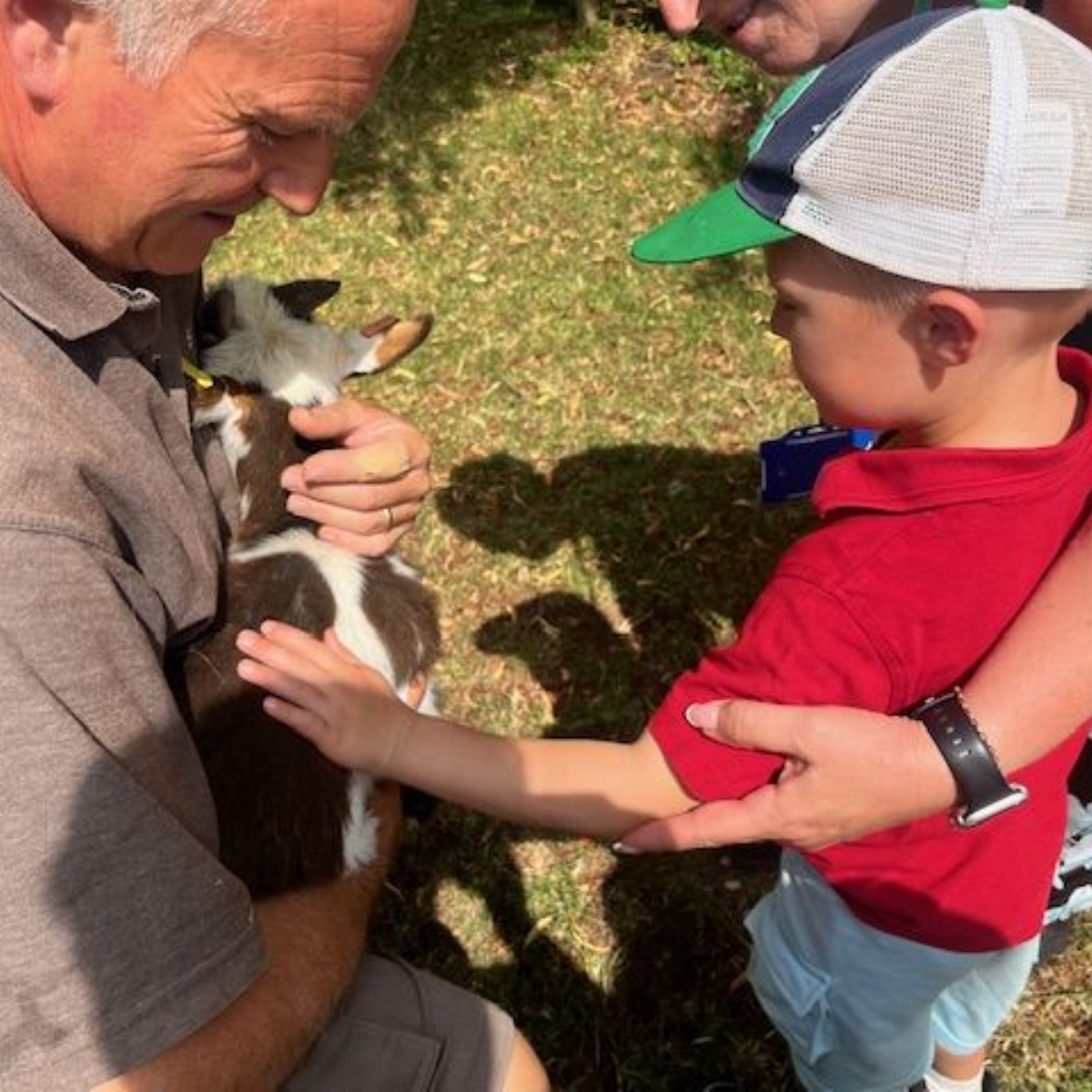 Benhall St Mary's Church of England - Broad Oak Farm Visit