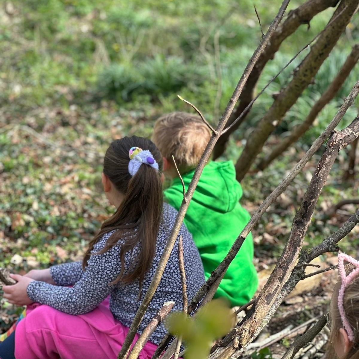 Benhall St Mary's Church of England - Forest School